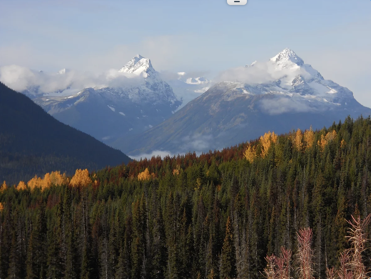 Trophy British Columbia Moose Hunts | Moose Hunting Outfitters Canada