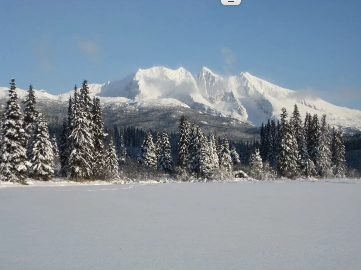 British Columbia Lynx Hunts - Telkwa River Outfitters