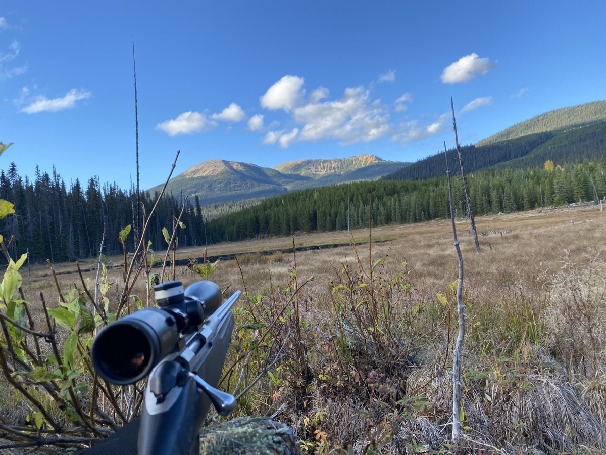 Trophy British Columbia Moose Hunts | Moose Hunting Outfitters Canada