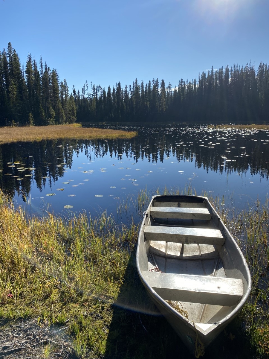 Trophy British Columbia Moose Hunts | Moose Hunting Outfitters Canada
